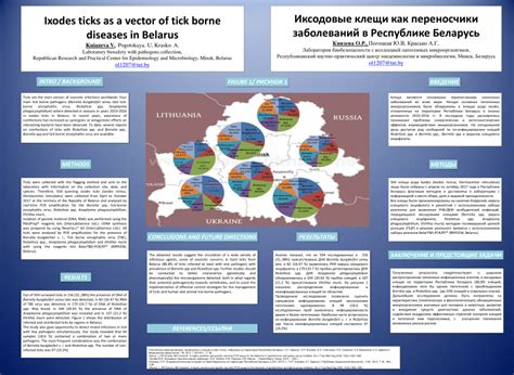 Pdf Ixodes Ticks As A Vector Of Tick Borne Diseases In Belarus