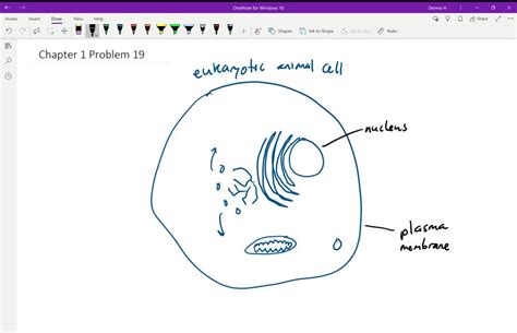 Solveddraw An Idealized Animal Cell And Identify The Parts By Name