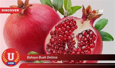 Ketahui 10 Bahaya Buah Delima Yang Wajib Diketahui