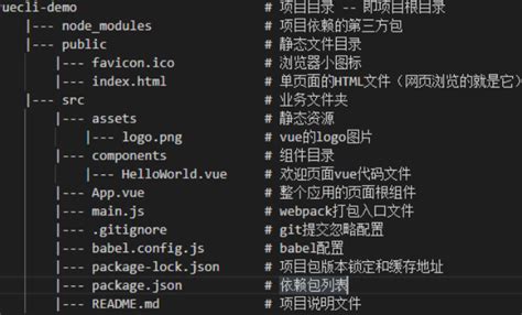 vue基础总结 vue 变量 csdn博客