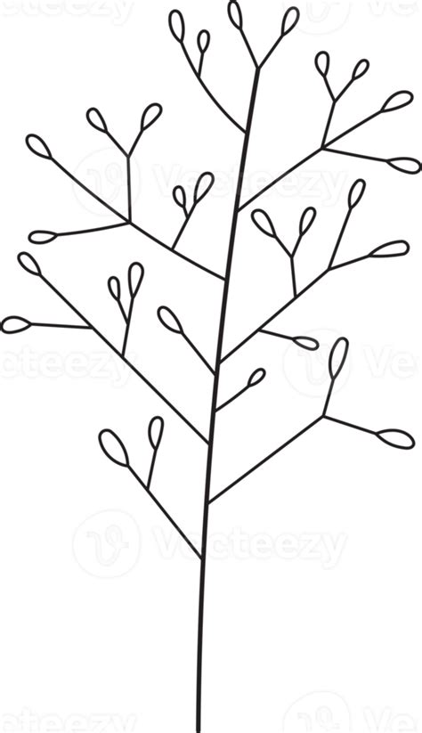 Hand Drawn Curly Grass And Flowers 22353934 Png