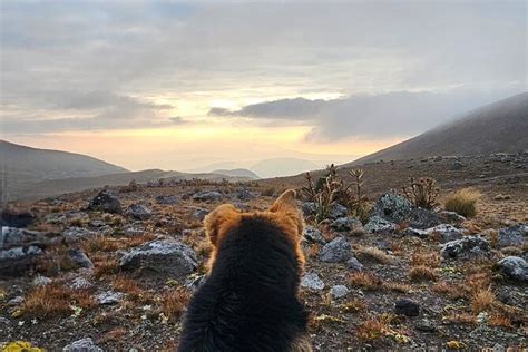 2025 Private Nevado De Toluca Tour From Cdmx Sunrise Summit Or Hike