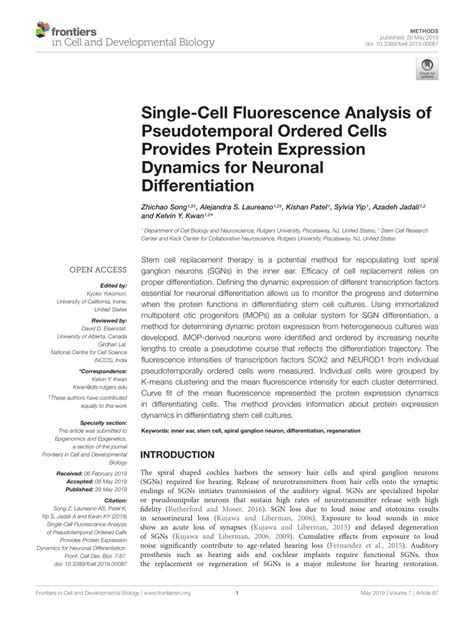 Pdf Single Cell Fluorescence Analysis Of Pseudotemporal Ordered Cells Provides Protein