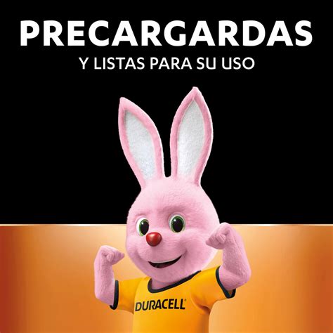 Pilas Recargables AA Pilas Duracell Plus