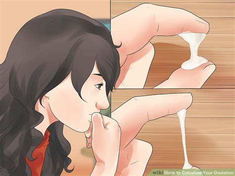 Ways To Calculate Your Ovulation WikiHow