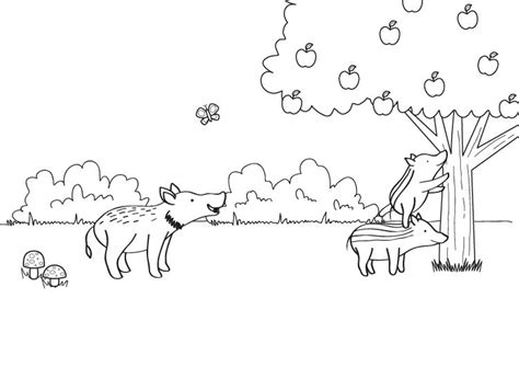 Jabalí y sus jabatos dibujo para colorear e imprimir