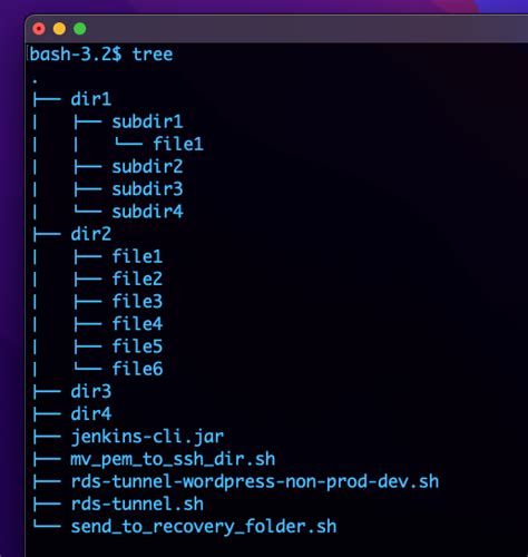 Linux Basics How To Navigate The Terminal