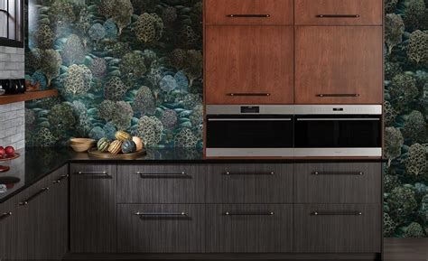 Wolf Legacy Product 30 E Series Transitional Convection Steam Oven