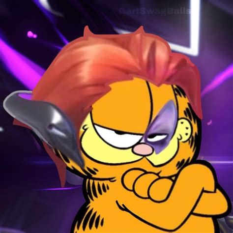 Garfswagballs R Garfield