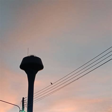 Tup🖤 Tuppppp • Threads Say More