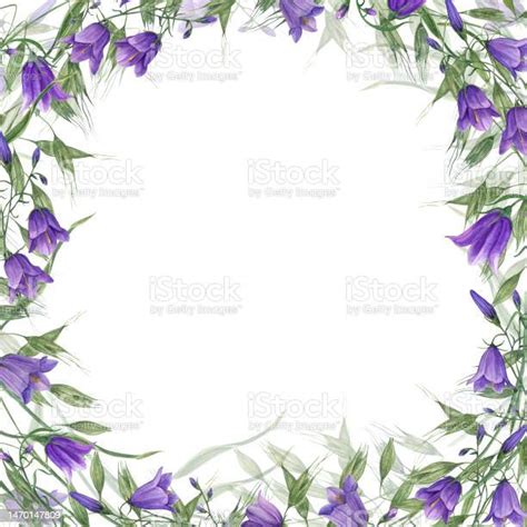 Campanula와 수채화 화환 흰색 배경에 고립 된 야생 귀리 엽서 디자인 초대장 템플릿 발렌타인 데이 생일 어머니의 날 카드 청첩장을위한 손 그림 0명에 대한 스톡 벡터