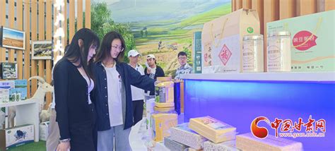 香约庆阳 包容天下丨环县：“六统一”模式 助推电商发展提档升级发现频道中国青年网
