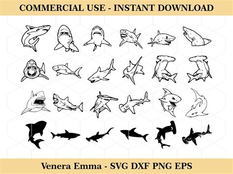 Shark Svg Shark Cricut File Shark Silhouette Vectorency