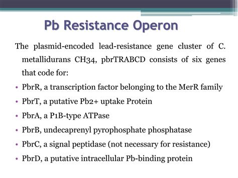 Types Of Lead Bioremediation Pptx