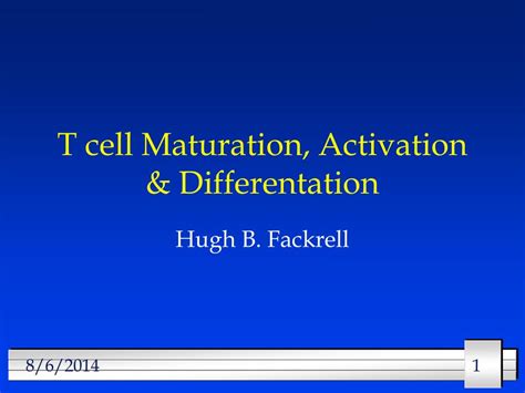 Ppt T Cell Maturation Activation And Differentation Powerpoint