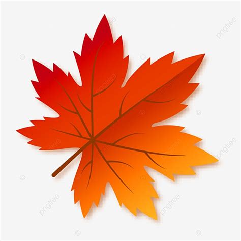 Cartoon Maple Leaf Png Picture Hand Painted Watercolor Maple Leaf
