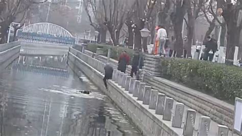 醉汉越过围栏跌入水中，六旬老汉跳入冰河施救锋线视频澎湃新闻 The Paper