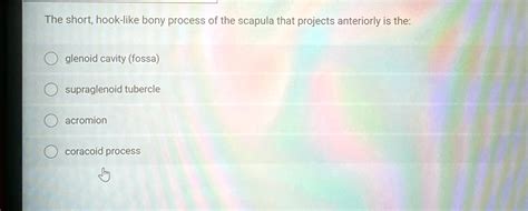 The Short Hook Like Bony Process Of The Scapula That Projects Anteriorly Is The Glenoid Cavity