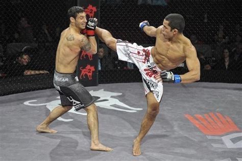 Alexandre Bezerra Alchetron The Free Social Encyclopedia