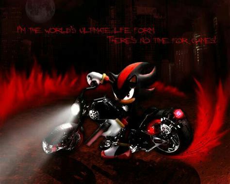 Shadow The Vamphog Sonic The Hedgehog Amino