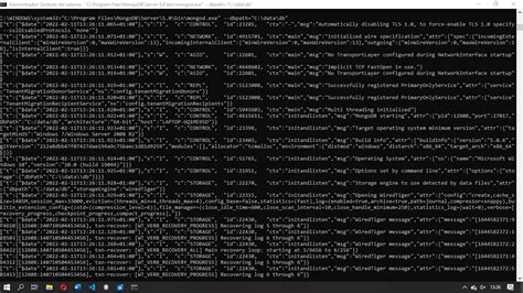 Base De Datos Error Al Iniciar La Database De Mongodb Stack