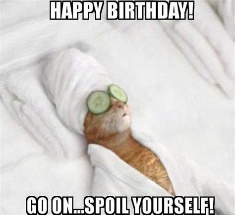 101 Funny Cat Birthday Memes For The Feline Lovers In Your Life In 2020