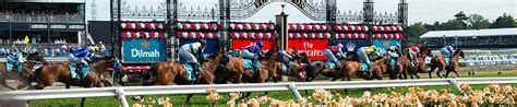 9 Spring Racing Carnival Flowers You Need To Know Amazing Graze Flowers