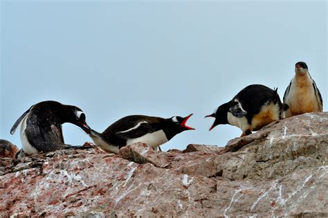 Communication Part 5