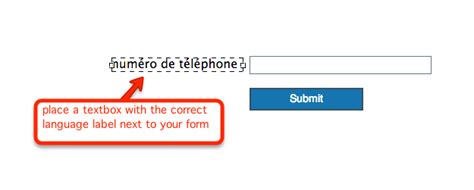 difference between form field names and form field labels community
