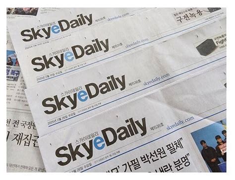세계선거기관협의회 부정선거 스카이데일리 손해배상 소송