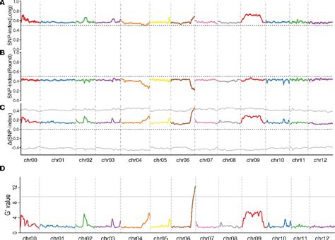 Figure 3 From Qtl Analysis Of Tuber Shape In A Diploid Potato