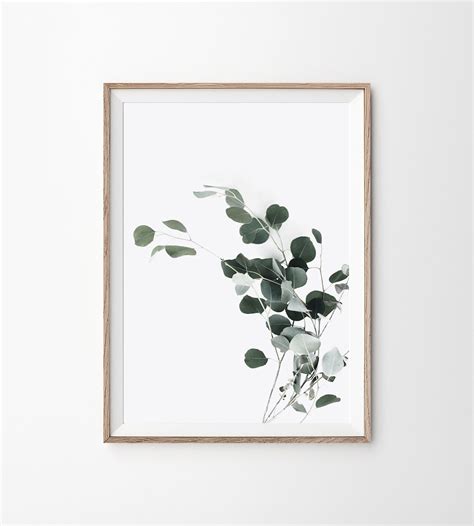 Eucalyptus Print Leaves Print Art Print Eucalyptus Leaves Prints