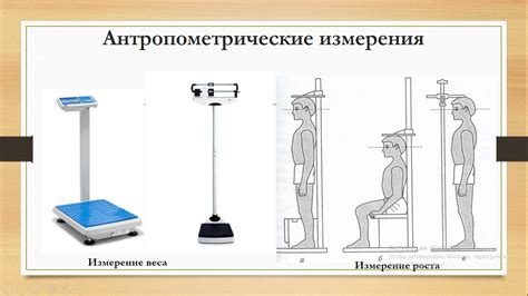 Антропометрия (много фото) - deviceart.ru