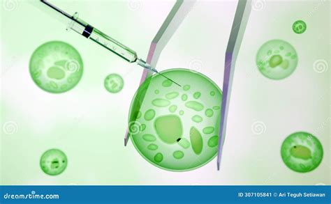 3d Rendering Of Algae Genetic Engineering Stock Illustration Illustration Of Photosynthesis