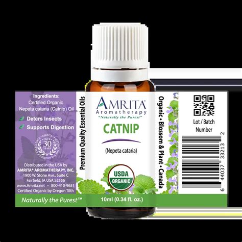 Catnip Organic Essential Oil By Amrita The Essential Oil Advisor Catnip Organic Essential Oil By Amrita The Essential Oil Advisor