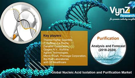 Nucleic Acid Isolation And Purification Market Growth And Forecast 2024