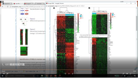 Geo数据挖掘开篇之文章解析 生信人