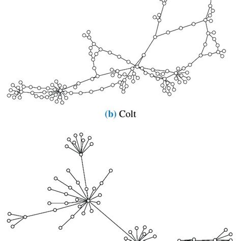 The Four Real World Homogeneous Network Topologies Evaluated Using