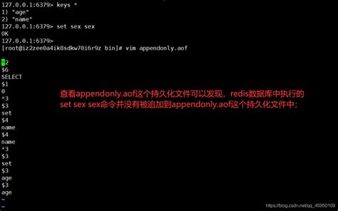 Redis持久化中的aofappend Only File持久化appendonly Csdn博客