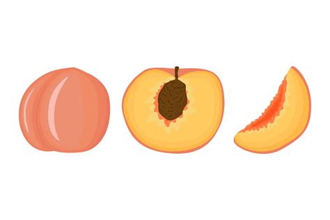 Sweet Peach Vegan Fruit Vector Flat Isolated Illustration Vector Art At Vecteezy