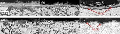 Sem Cross Sectional Analyses Of Thermal Sprayed Coatings After 1100 • C