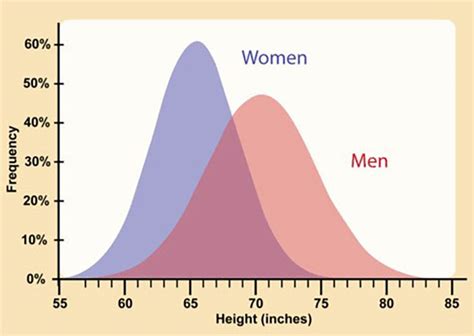 Statistical Sampling And The Normal Bell Curve Amf