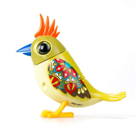 Digi Birds | Concentra