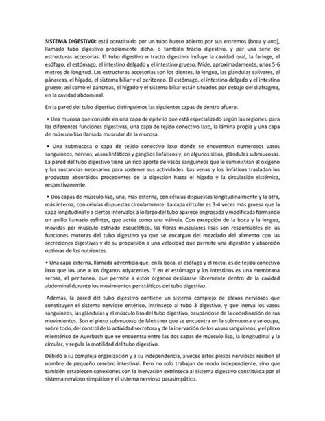 Sistema Digestivo Michele Dubón Udocz