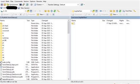 How To Deploy Asp Net Web Application To Linux Vps Tech With Yomi
