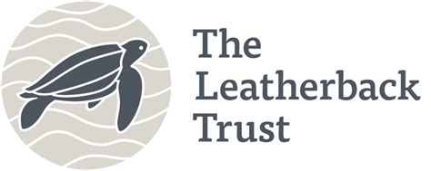 Research Leatherback