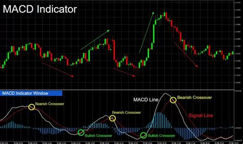 How To Use A Macd Indicator In Olymp Trade Tutorial For Beginners