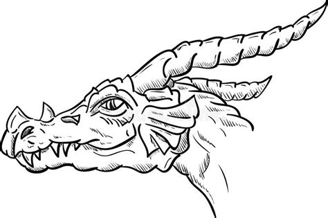 Dragon Head Stock Vector Illustration Of Teeth Vector 33853585