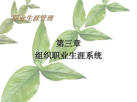 第3章 组织职业生涯系统word文档在线阅读与下载免费文档
