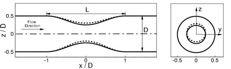Dns Of Stenotic Flows